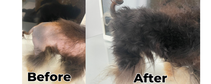Major Hair regrowth in just 2 months! – Aromesse