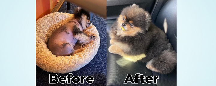 Before and After Dermacton – Aromesse