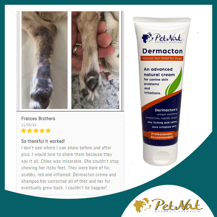 Dermacton Cream for Itchy Dogs – Aromesse